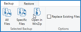 KB WinZip: WinZip Secure Backup